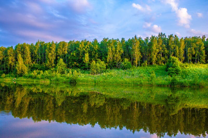 Summer calm forest lake stock image. Image of beautiful - 209216447