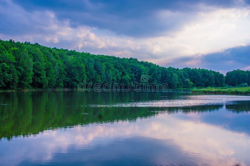 Summer calm forest lake stock photo. Image of deciduous - 209033254