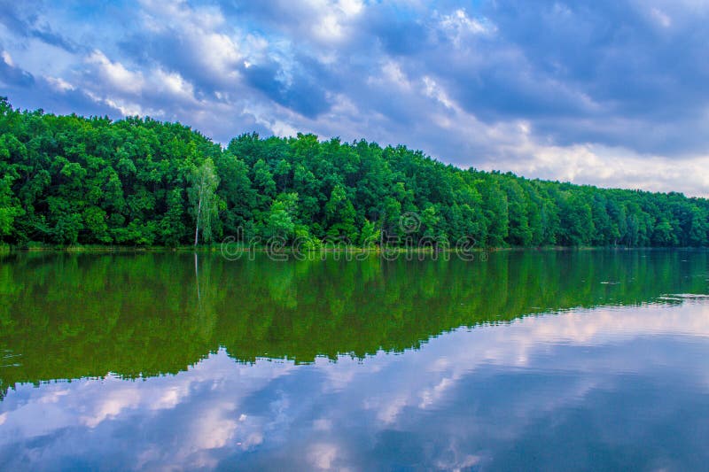Summer calm forest lake stock photo. Image of cloudy - 209120670