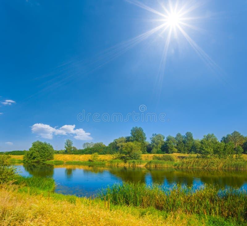 Calm River with Forest on Coast Under a Sparkle Sun Stock Photo - Image ...