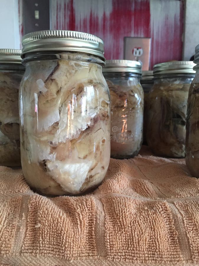 Canned Shad Stock Photos - Free & Royalty-Free Stock Photos from Dreamstime