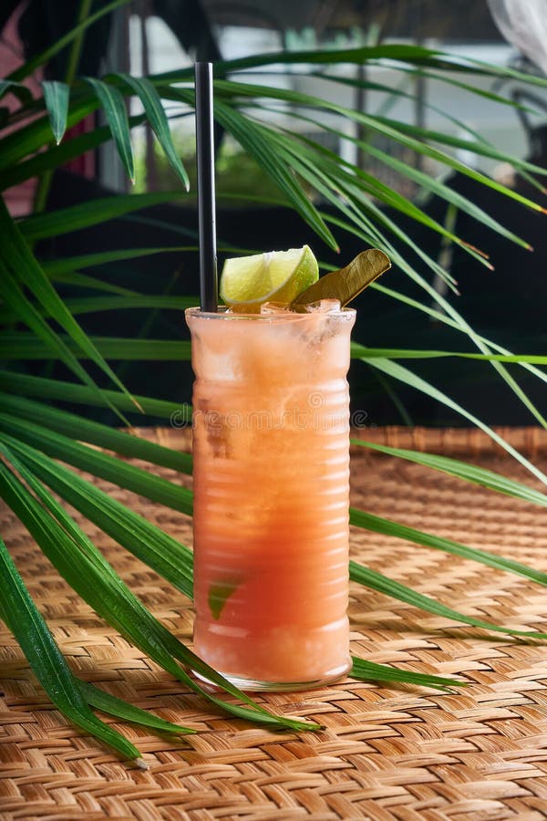 Summer Chilled Drinks with Fresh Juice Stock Image - Image of tall ...