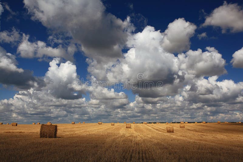 Clean Field with Rural and Urban Development Stock Image - Image of ...