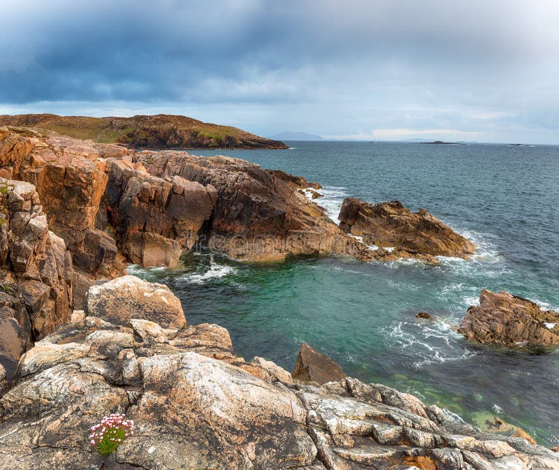 Summer on the Cliffs at Hushinish Stock Photo - Image of harris ...