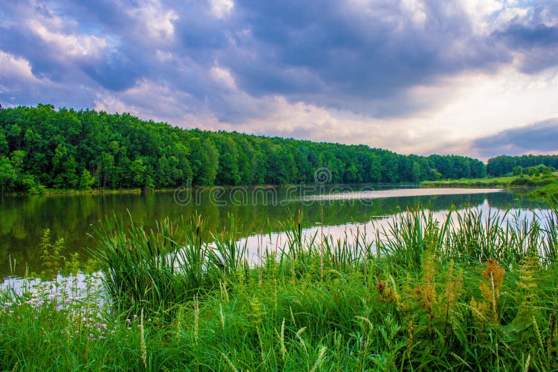 Summer calm forest lake stock image. Image of deciduous - 209033169