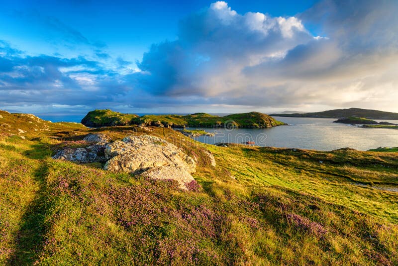 Summer on the Coast at Rodel Stock Photo - Image of british, scene ...