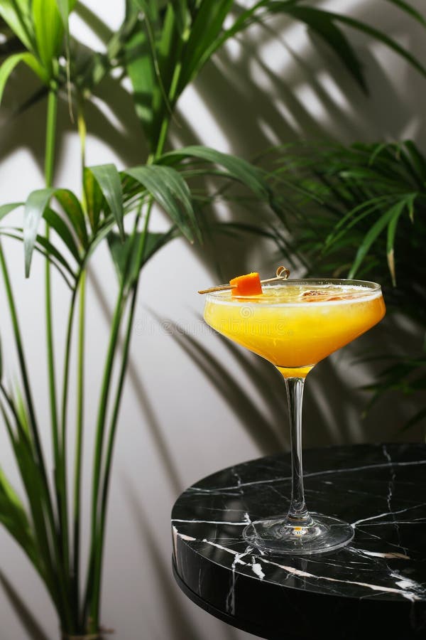 Summer Cocktail with Citrus on Marble Table and Tropic Plants on Back ...