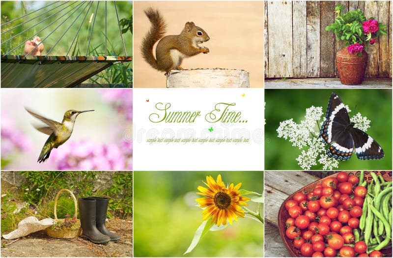 Summer collage. stock image. Image of hanging, butterfly - 21657785