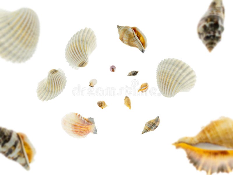 179 Falling Shells Stock Photos - Free & Royalty-Free Stock Photos from ...
