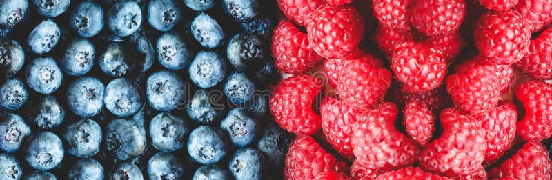 Summer Concept. Banner with Fresh Red and Blue Summer Berries ...