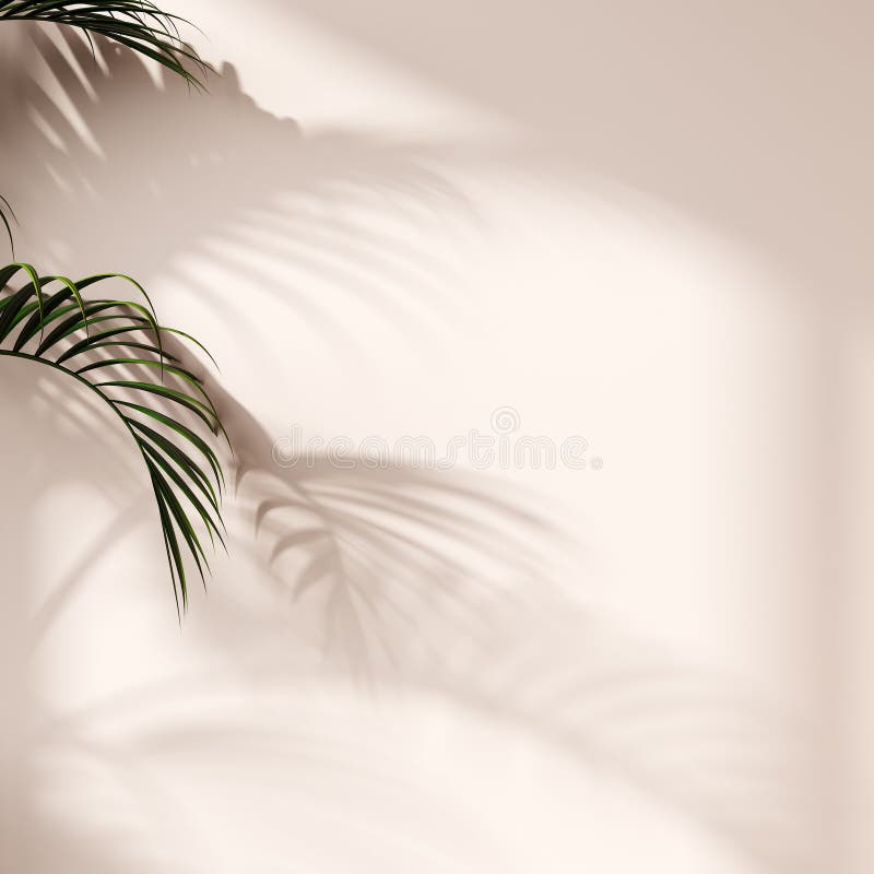 Palm Tree Shadow Background or Summer Background Tropical Leaves ...
