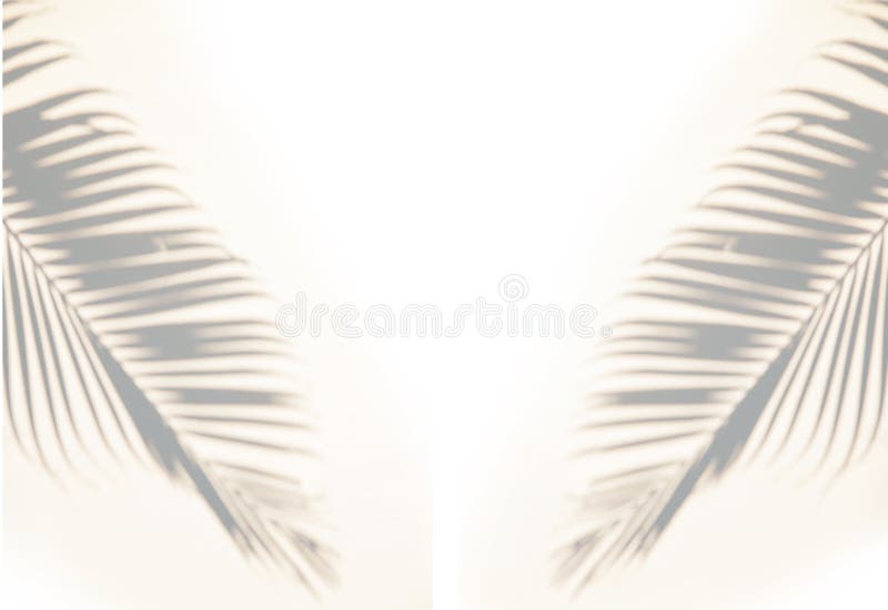 Summer Concept. Palm Tree Shadow on a Blue Background Stock Photo ...