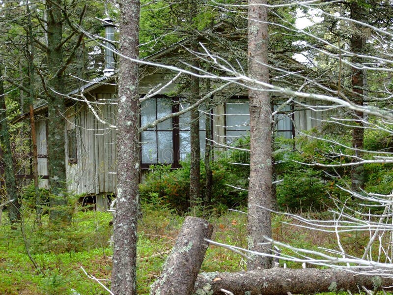 Summer cottage stock photo. Image of broadcove, green - 4793262