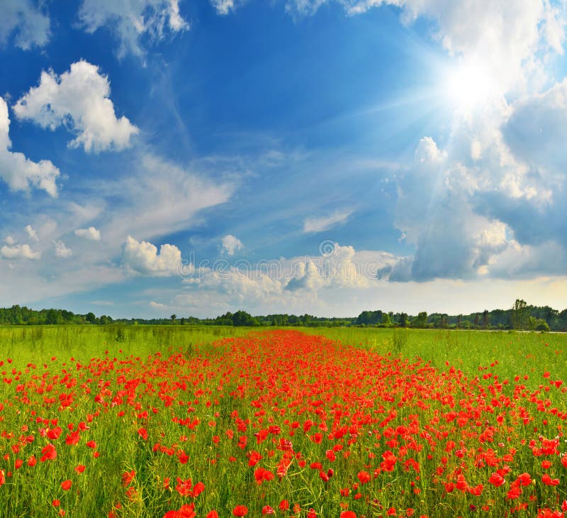 1,163,680 Summer Country Photos - Free & Royalty-Free Stock Photos from ...