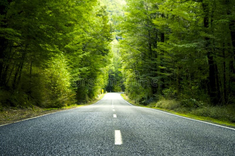 Summer Country Road with Trees beside Stock Image - Image of scenics ...