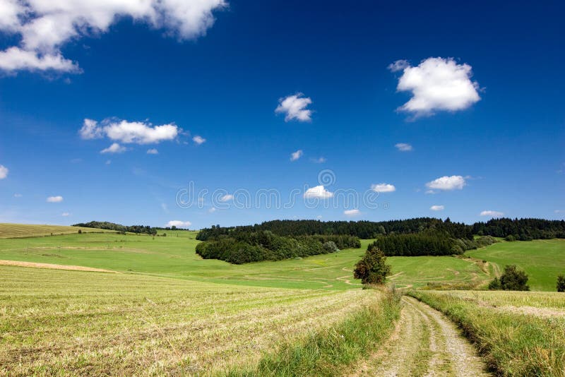 Summer countryside stock image. Image of sunny, green - 10956533