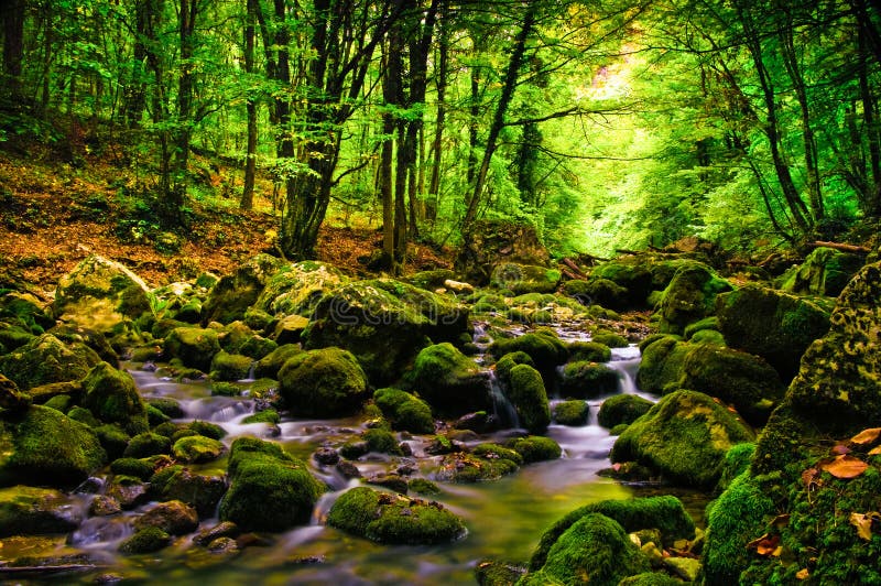 Summer countryside stock photo. Image of green, water - 12043322