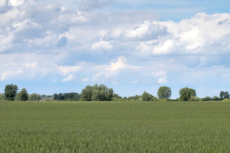 Summer Countryside Fields. Distant Fields Landscape Stock Image - Image ...