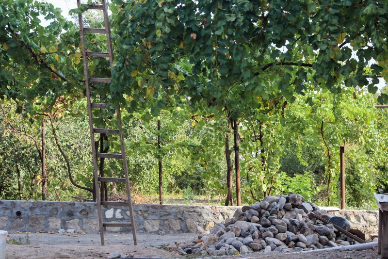 Summer Courtyard with Strewn Stones and a Stepladder Stock Image ...