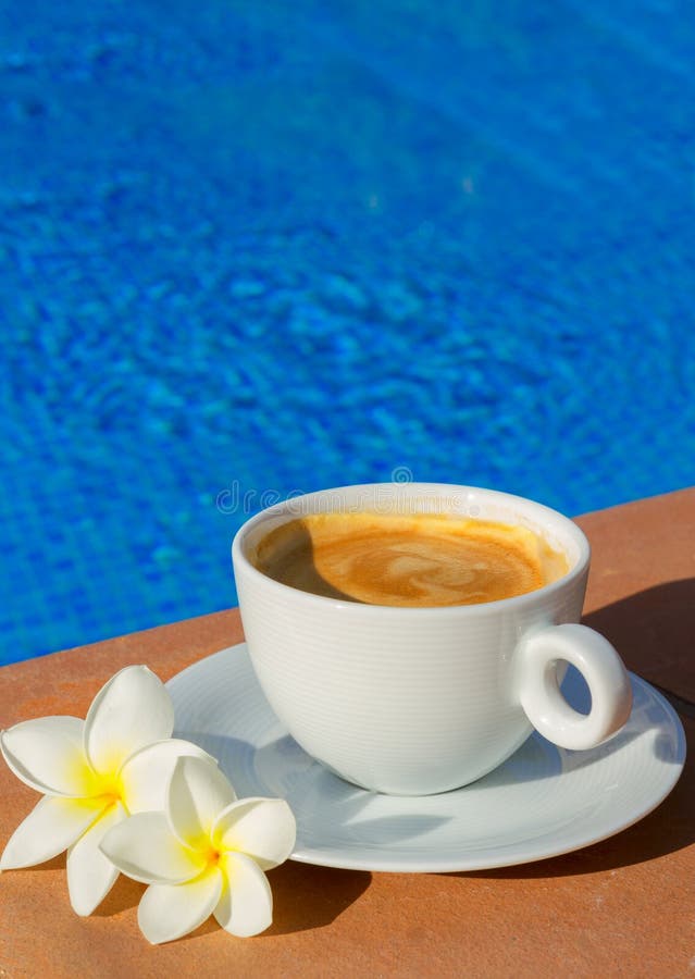Summer cup of coffee stock image. Image of beautiful - 91549039