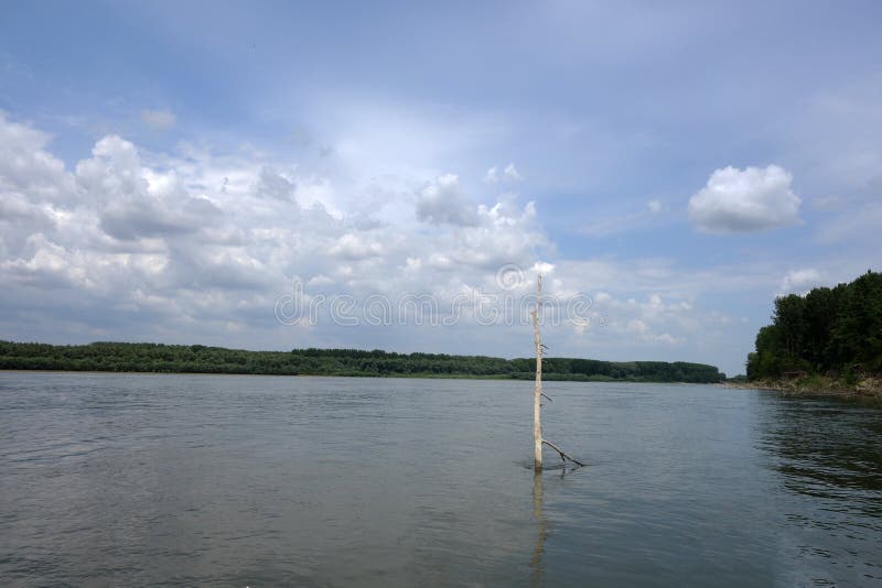 Summer 2020 on the Danube River Stock Image - Image of downstream ...