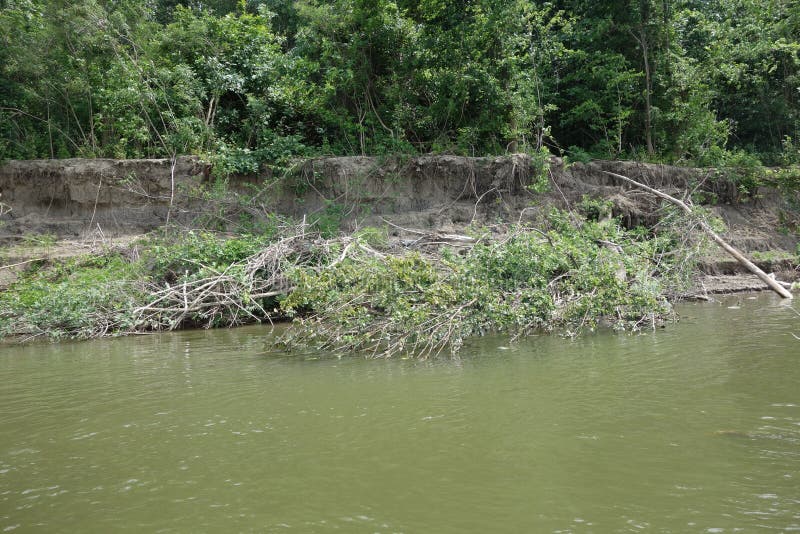 Summer 2020 on the Danube River Stock Image - Image of green, waters ...
