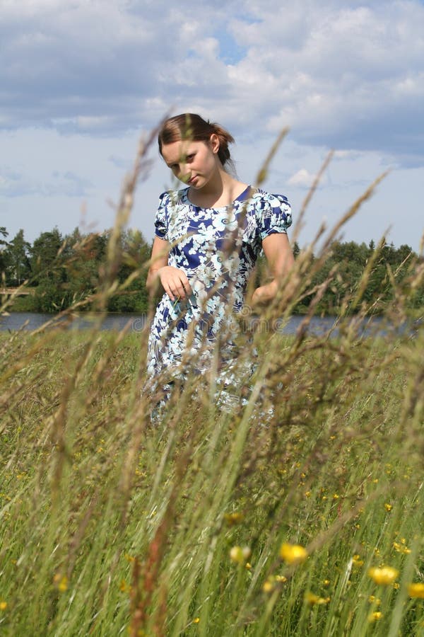 Summer day stock image. Image of nature, comfort, beautiful - 2703275