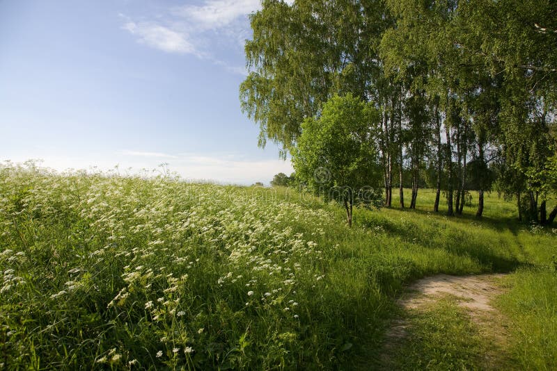 Summer Day Picture. Image: 7928989