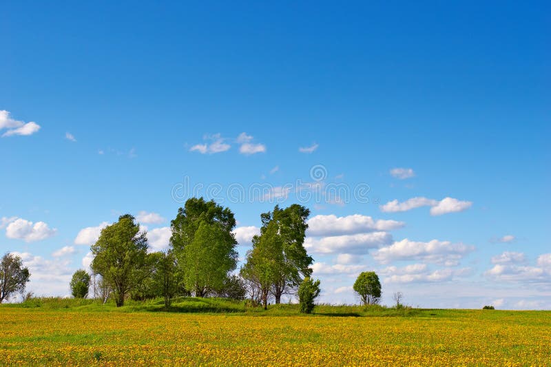 Summer Landscape with Clouds Stock Image - Image of plant, trees: 21133561