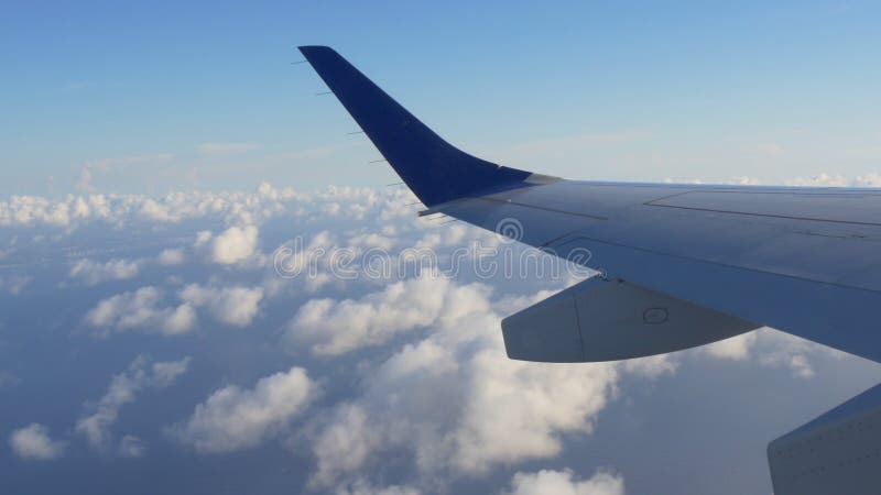Summer Day Airplain Fly Over the Sky Wing View 4k Florida Usa Stock ...