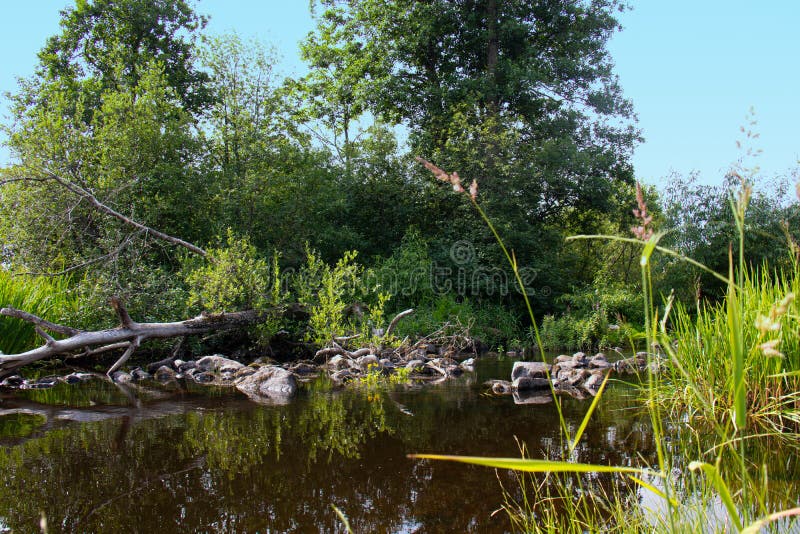 Summer Day on the Banks of a Small River Stock Image - Image of ...