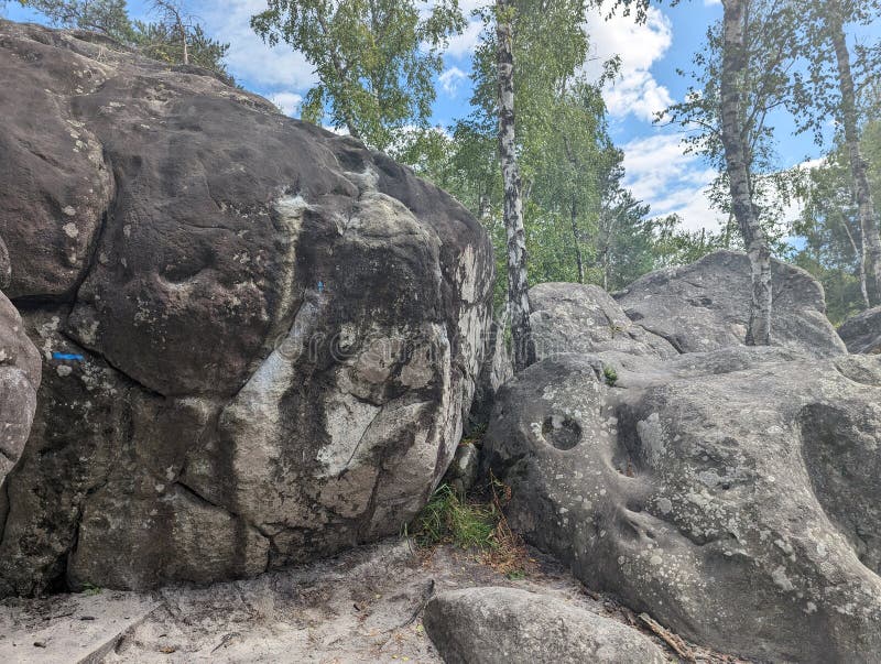Summer Day in Fontainebleau: Bouldering in the Forest Stock Photo ...