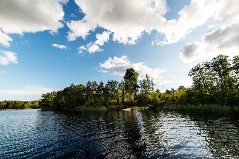 Summer vibe stock image. Image of view, background, tree - 126227939