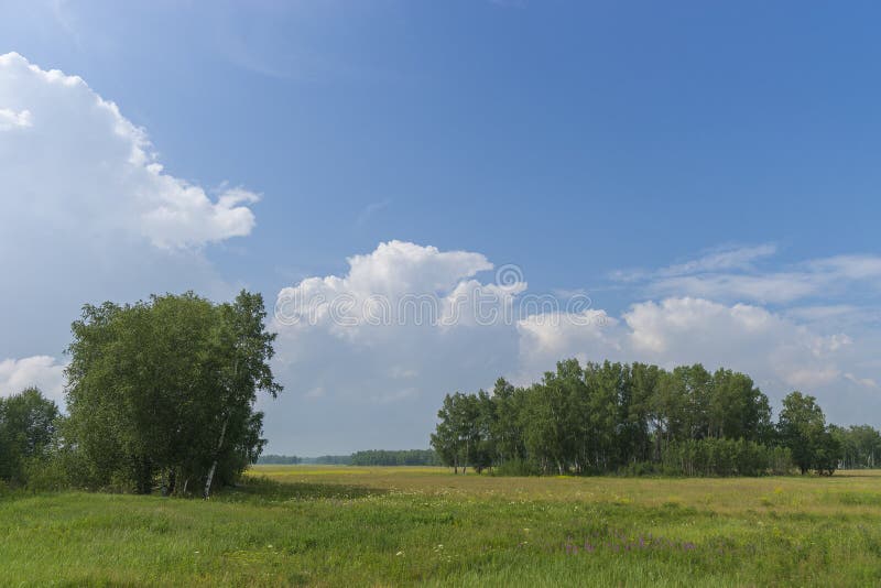 Summer Day Landscape with Field, Forest and Cloudy Sky and Sun. Stock ...