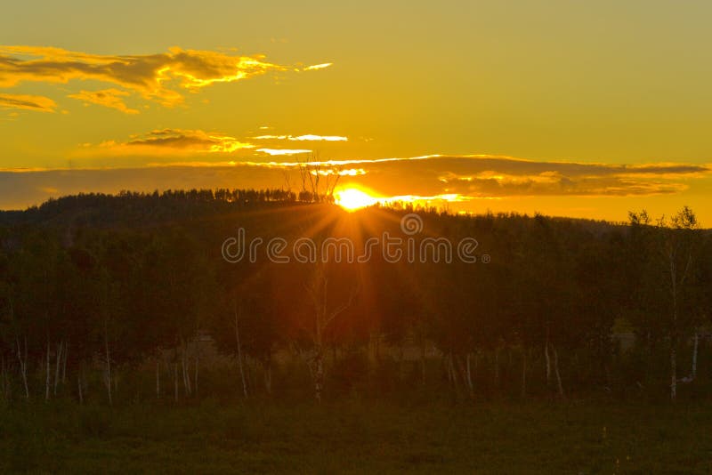 Summer Day Landscape Forest, Clouds on the Sky and Sun Stock Photo ...