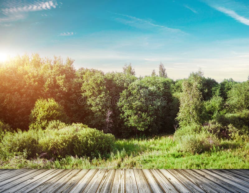 Summer day landscape stock image. Image of trees, bright - 125659753