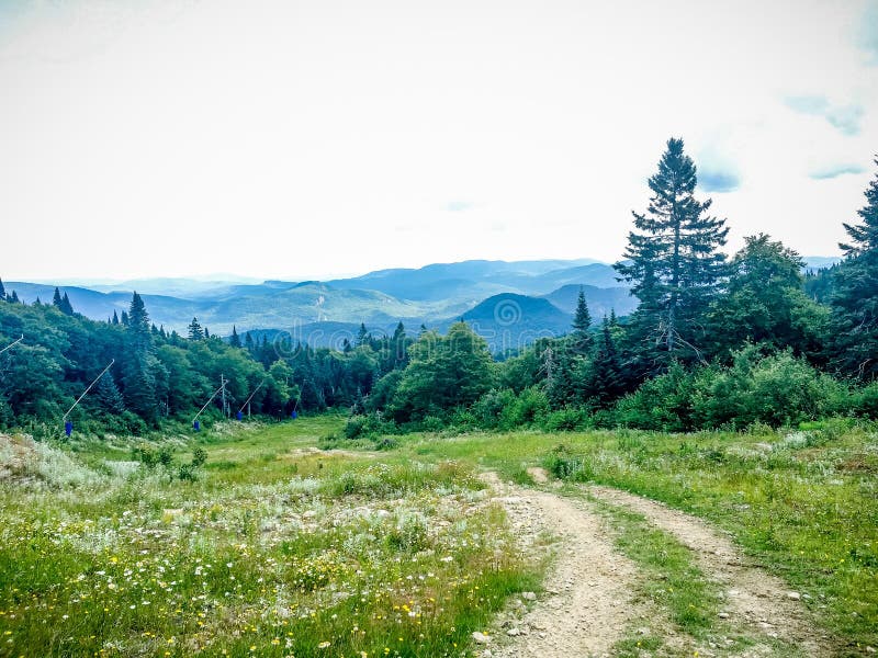 Hiking trail in mountains stock photo. Image of action - 106259208