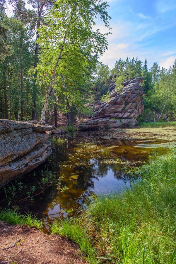 Summer Day, a Small Forest Lake Stock Image - Image of nature, scene ...
