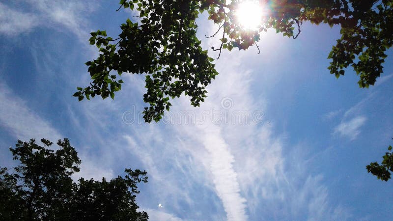 Summer day and sun stock image. Image of green, clouds - 161681845