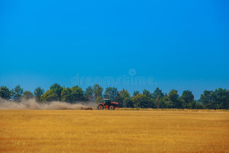 Summer Day Tractor Pulls a Plow on the Sloping Field of Wheat. Stock ...