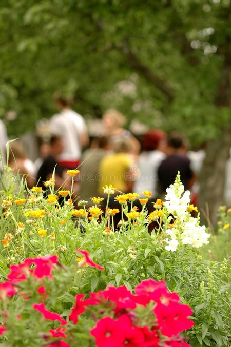 Summer days 2 stock image. Image of chill, socializing - 249633