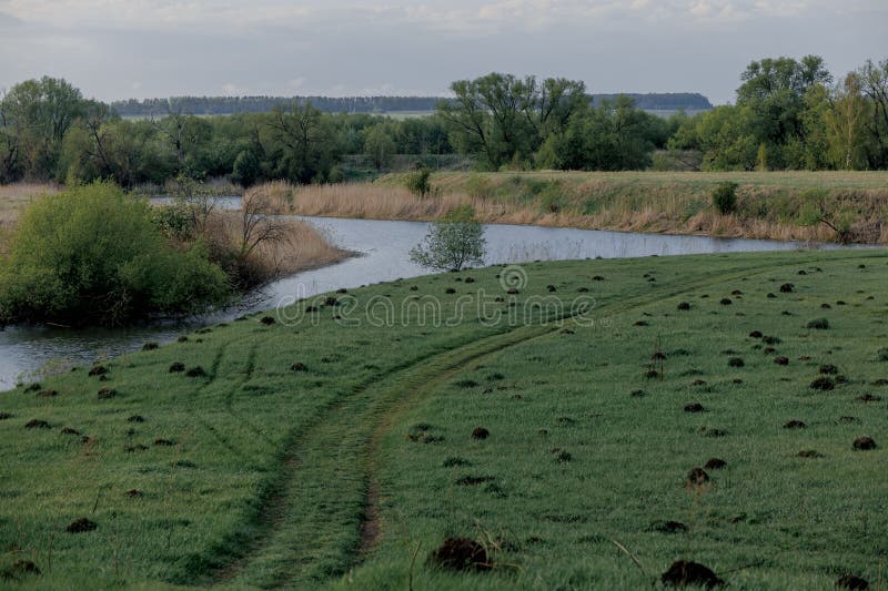 Summer Dayscape with River or Lake Around Green Forest and Fields Stock ...