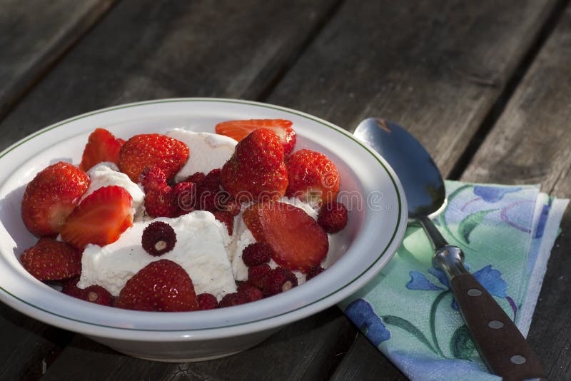 Summer delight stock image. Image of spoon, delicious - 53690257