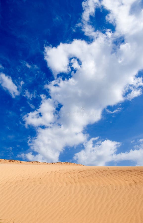 Summer in the desert stock image. Image of curl, trip - 8003593