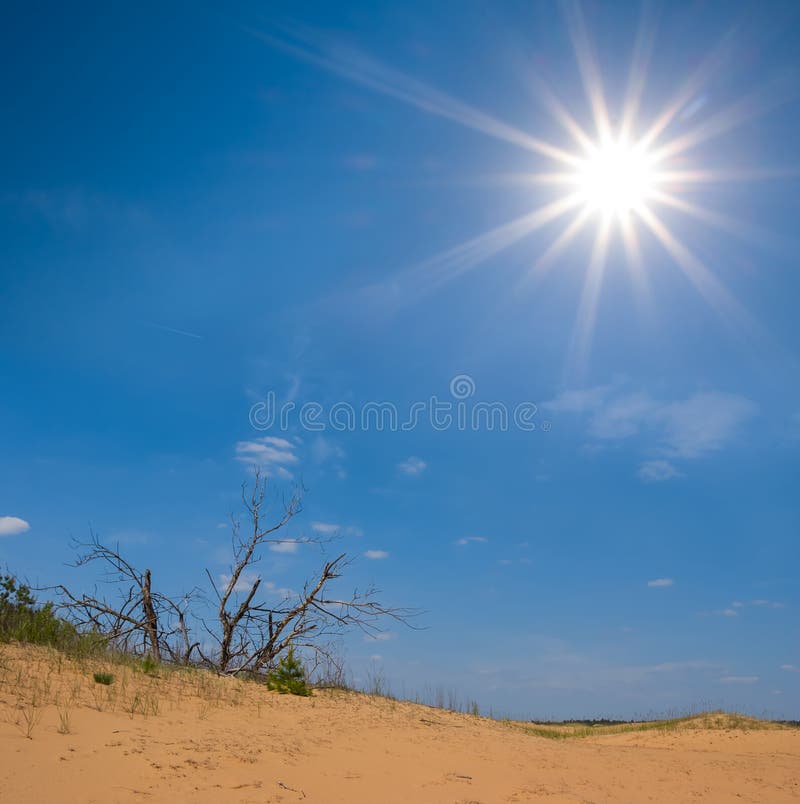 Summer Desert Dune Slope at Sunny Day Stock Photo - Image of sparkle ...