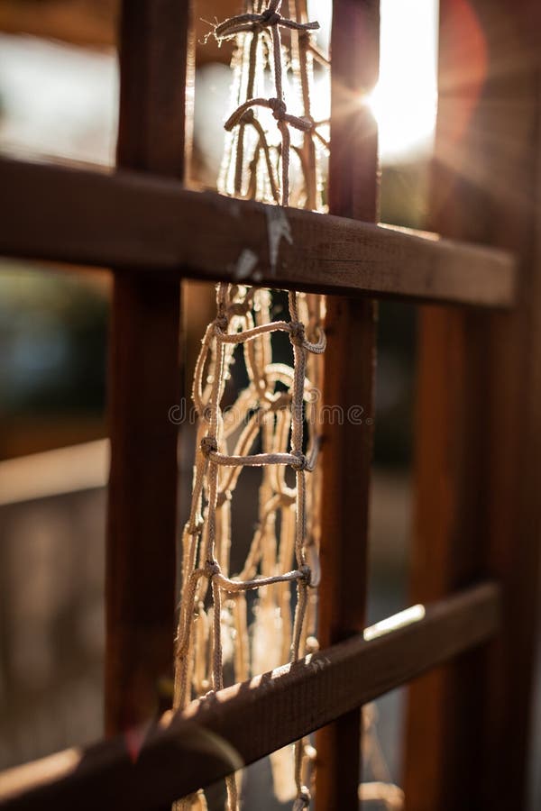 Summer stock photo. Image of sunlight, decoration, abstract - 31377328