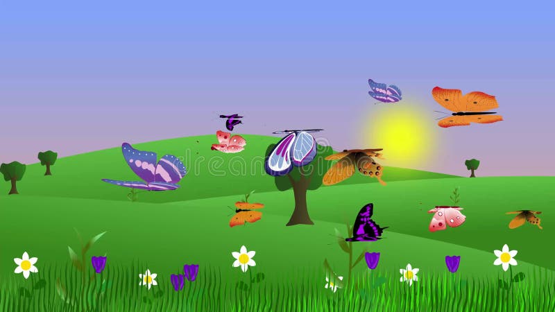 Summer Environment Animation with Butterflies and Fields, Flat Graphic ...