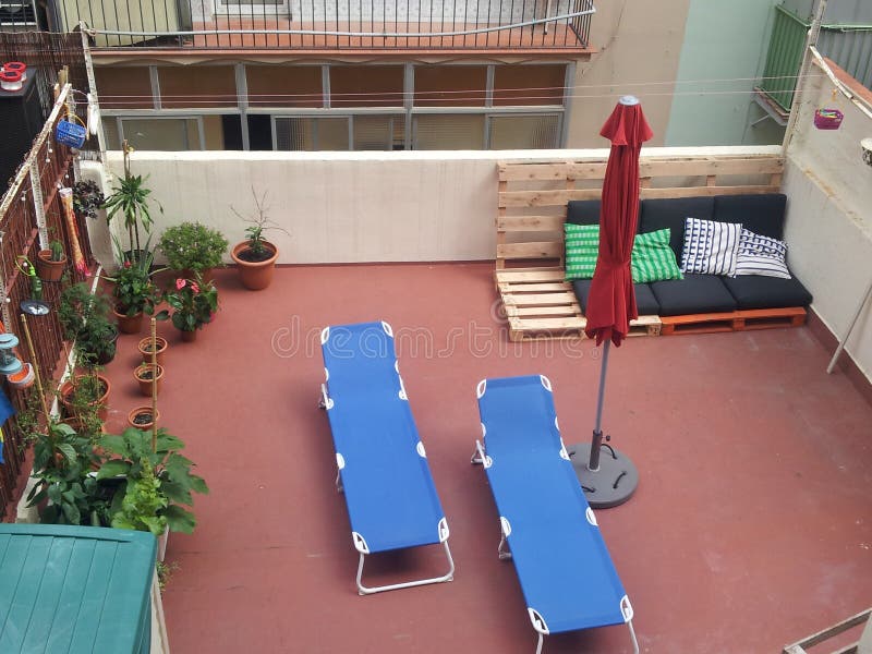 Summer environment stock photo. Image of environment - 55310004