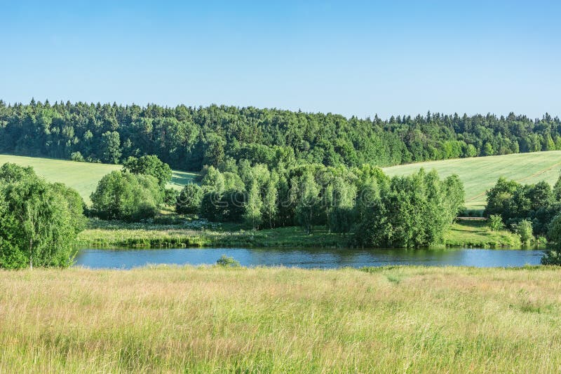 Summer European Countryside View. Stock Photo - Image of grass, forest ...