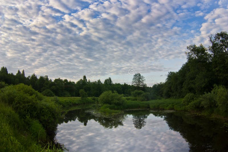 The River Luga, Leningrad Region, Russia Stock Image - Image of reeds ...